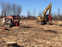 STUMPEX 2-Speed Stump Grinder | FECON Forest Clearing Equipment
