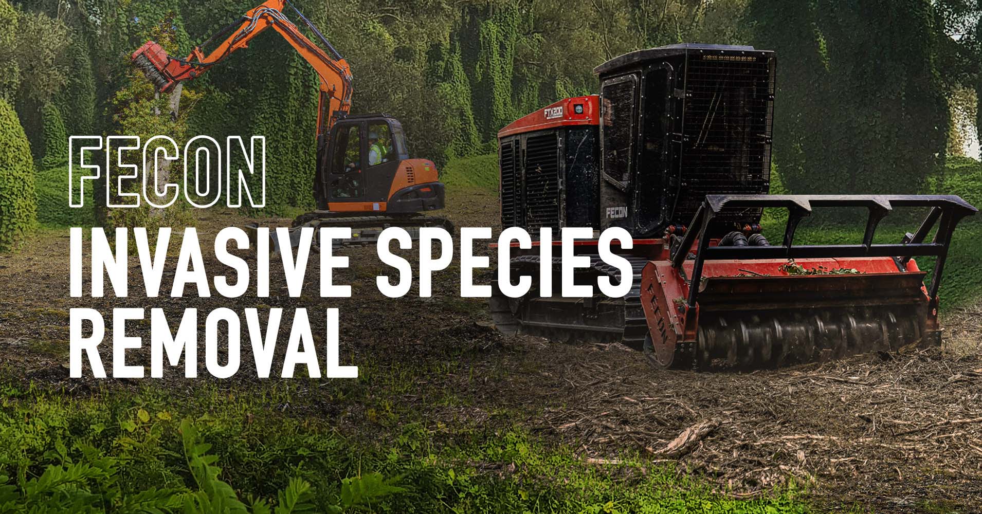 Invasive Species Removal Applications- Fecon